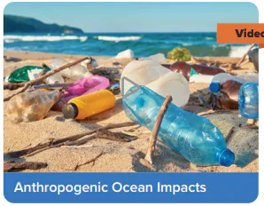 RS Oceans & Human Impact Reading Passage