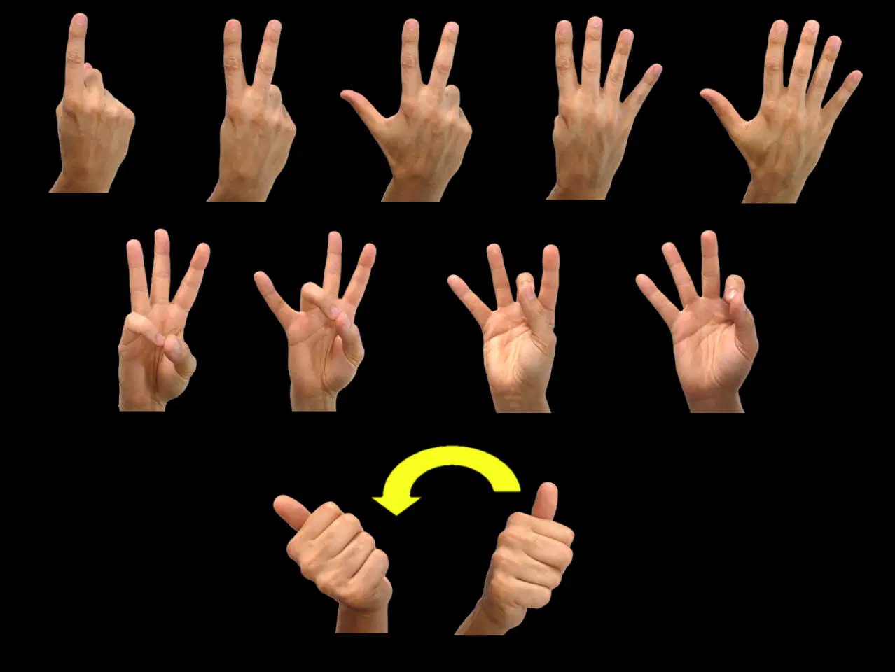 ASL Numbers 1-10 and Basic Math Signs 12th Grade Flashcard | Wayground
