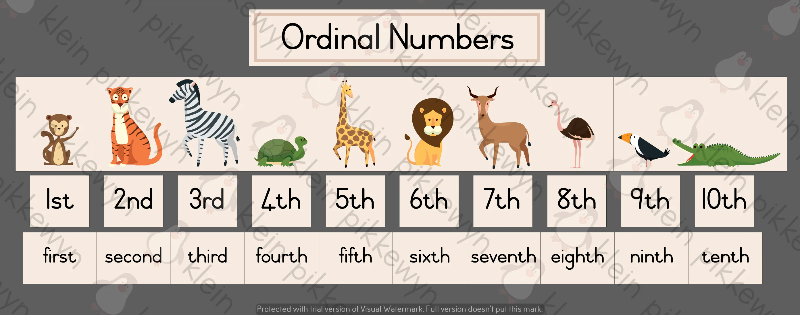 Grade 1- Ordinal numbers & Position Quiz