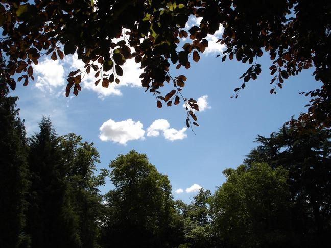 Atmosphere and Biosphere 5th Grade Flashcard | Wayground