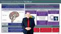 Introduction to the Structure and Investigation of the Brain University ...