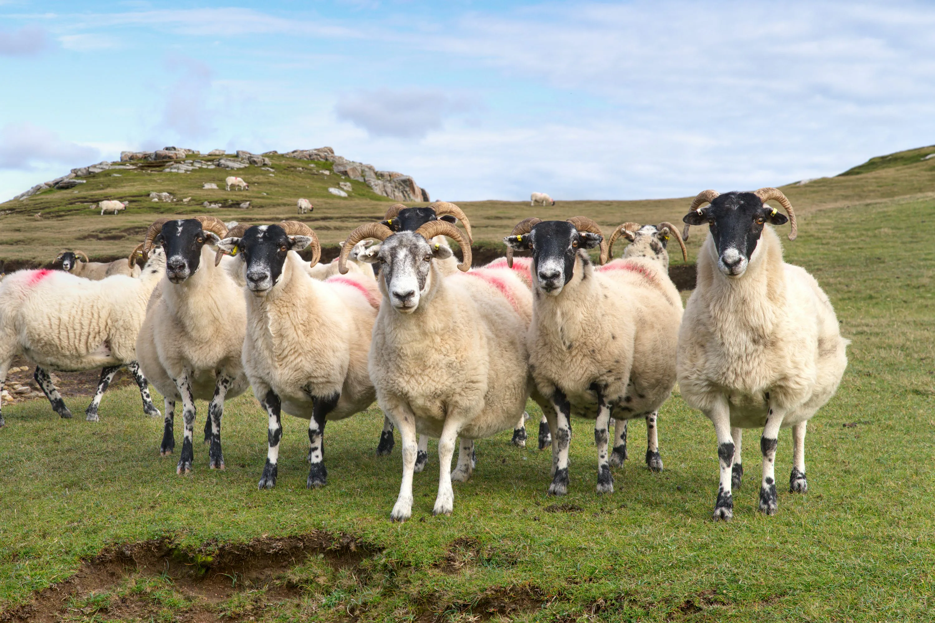 ADJECTIVES - SUPERLATIVE & COMPARATIVE Flashcards