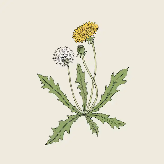 Las Plantas Quiz