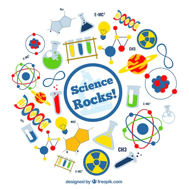 Sedimentary Rocks and Fossil Fuels 5th Grade Quiz | Quizizz