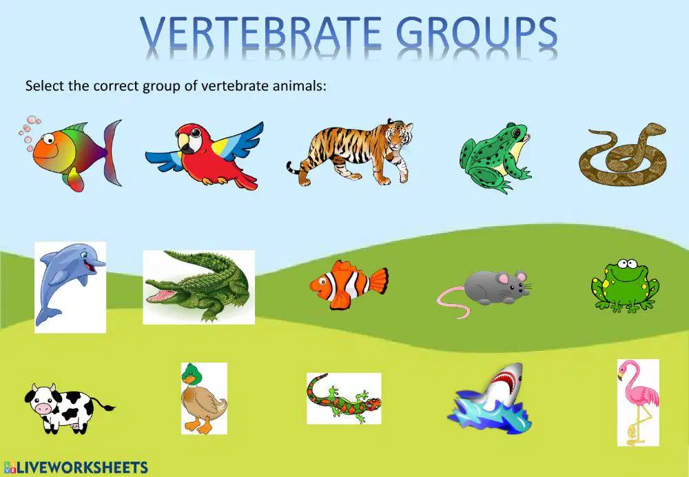 VERTEBRATES CLASSIFICATION 2nd Grade Quiz | Quizizz