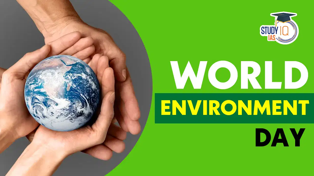 World Environment Day... 7th Grade Quiz | Wayground