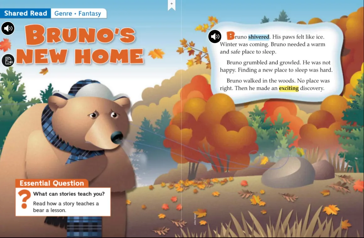 G3S1 Wonders T1 Bruno's New Home Vocabulary Quiz 3rd Grade Quiz | Wayground