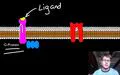Signal Transduction Pathways 11th Grade - University Video | Wayground ...