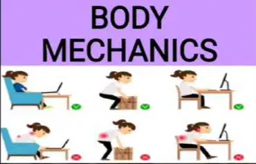 Body Mechanics Review Flashcards