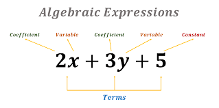 Algebraic Expressions Quiz 7th Grade Quiz | Quizizz