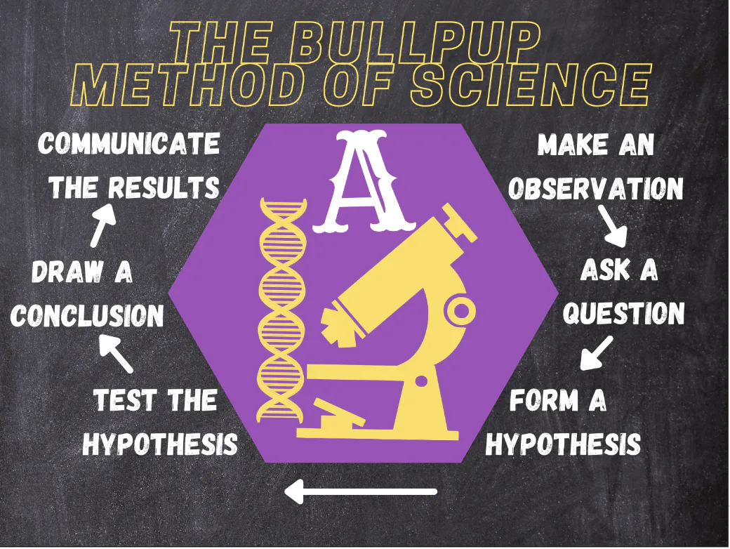 Scientific Method Review Quiz 6th Grade Quiz | Quizizz