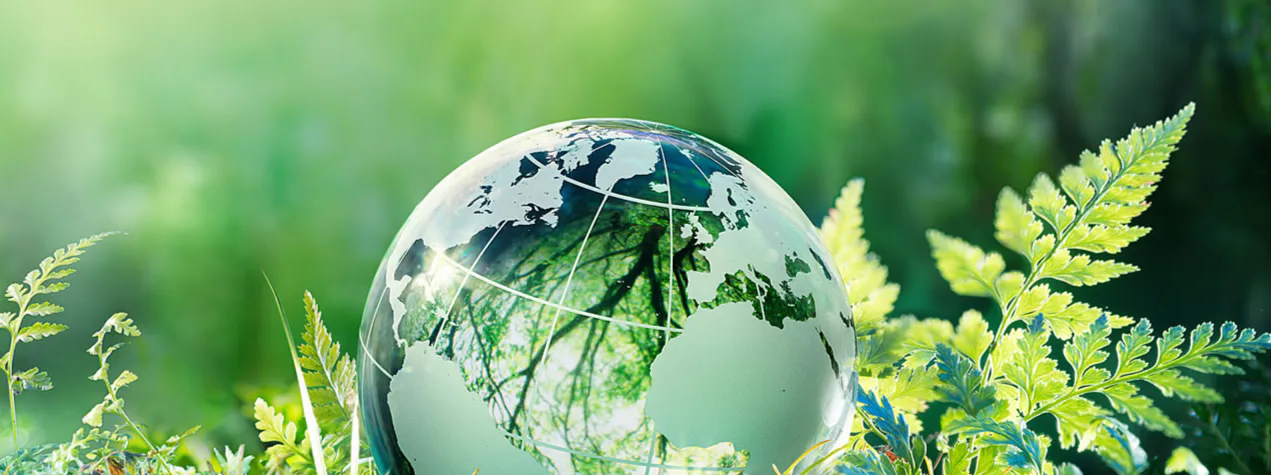 BIG REVIEW - Units 1-4 9th Grade Flashcard | Quizizz