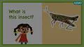 Buzzy Bugs - An Introduction to Insects KG - 3rd Grade Video | Quizizz
