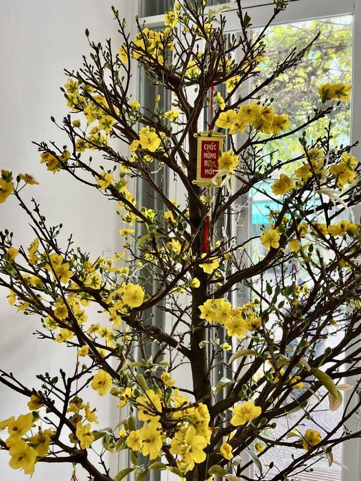 Grade 7 Unit 4 Vocabulary (smart) 7th Grade Quiz | Quizizz