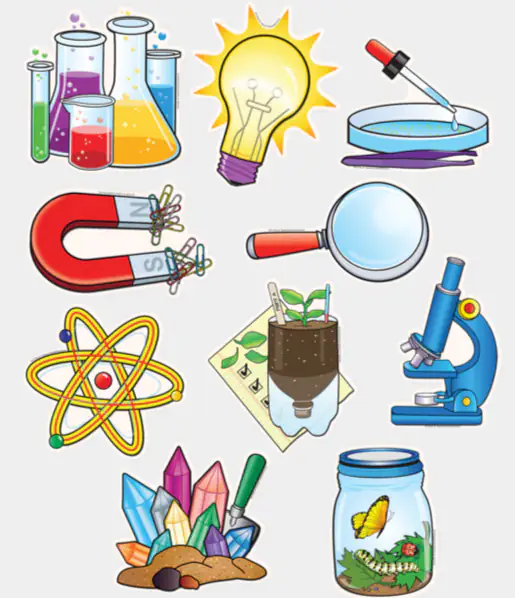 Science Milestone Review 8th Grade Quiz | Quizizz