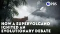 How a Supervolcano Ignited an Evolutionary Debate 11th Grade ...