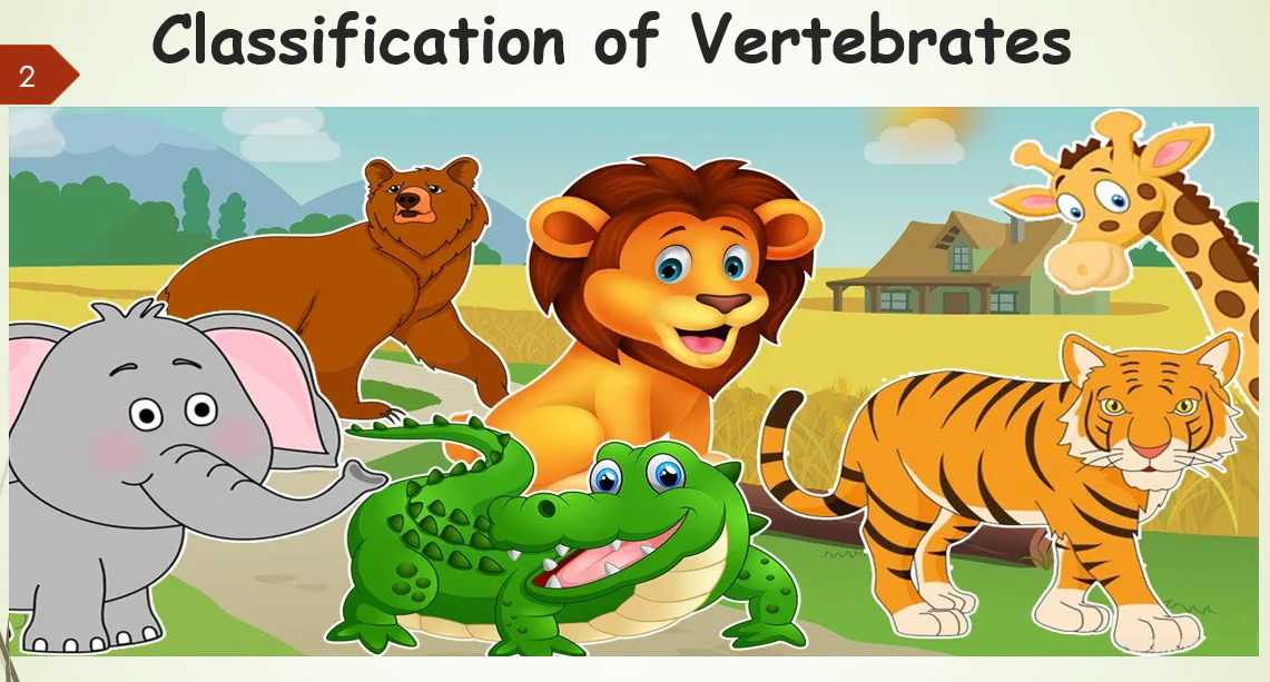 Classification of Vertebrates Quiz