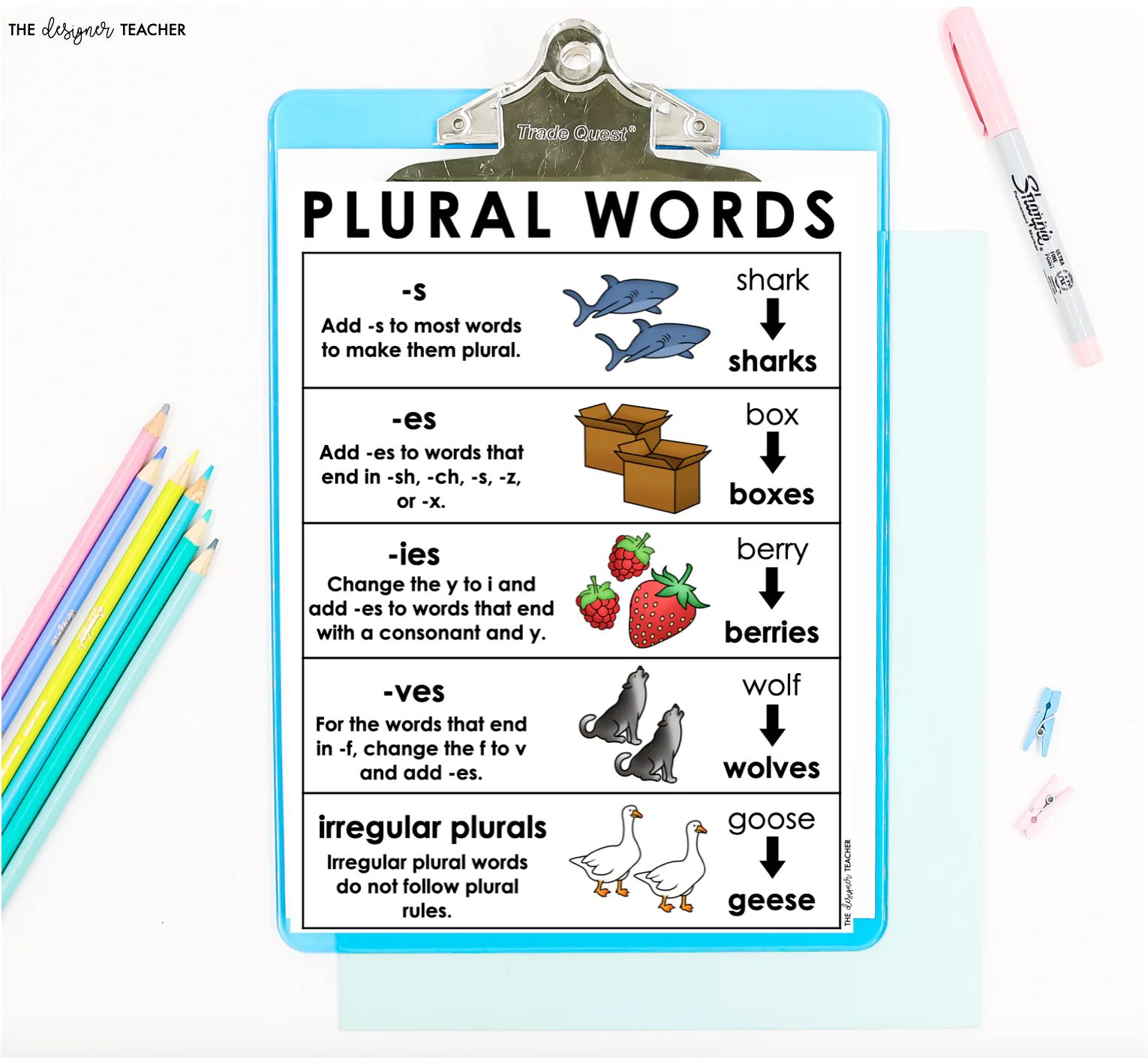 Singular and Plural Nouns Flashcards