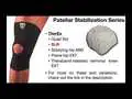 TherEx | Patellar Stabilization Series [Full Lecture] | Patellar ...