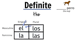 Spanish definite and indefinite articles Flashcards