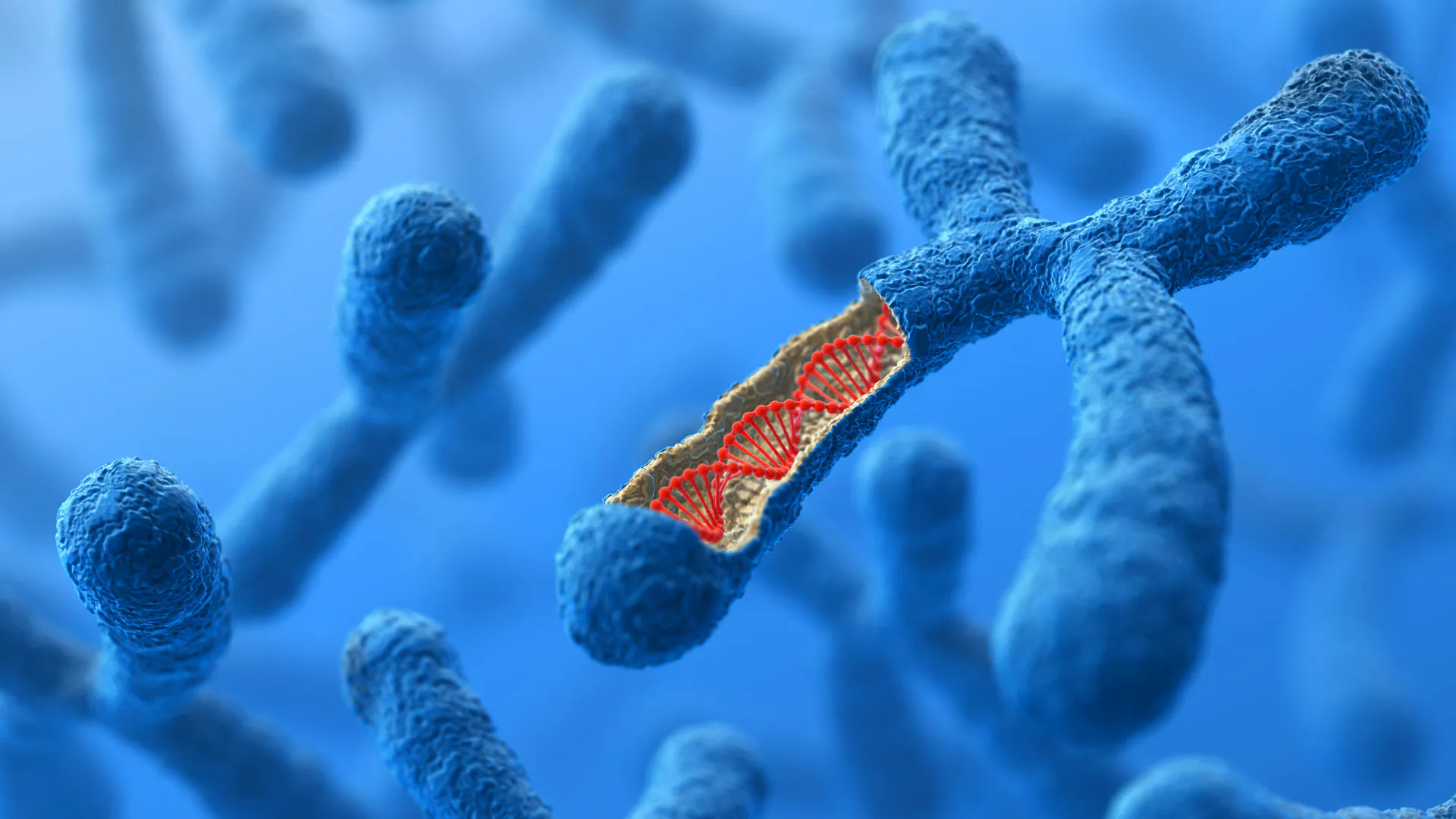 Genetics and Pedigree Charts 9th Grade Quiz | Wayground (formerly Quizizz)