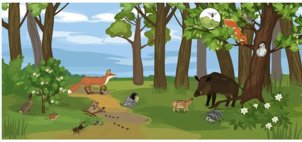 3rd S.S.-Lesson 2 Vocabulary 3rd Grade Quiz | Quizizz