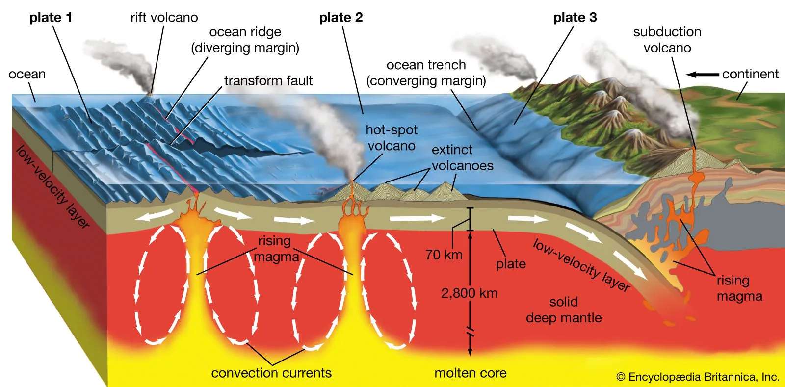 Plate tectonics 7th Grade Quiz | Quizizz