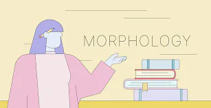 Morphology Set 2 Quiz Quiz