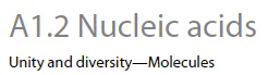 IB Biology A1.2 (SL) Nucleic acids multiple choice quiz Quiz