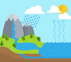 Water Cycle and Climate 5th Grade Quiz | Quizizz