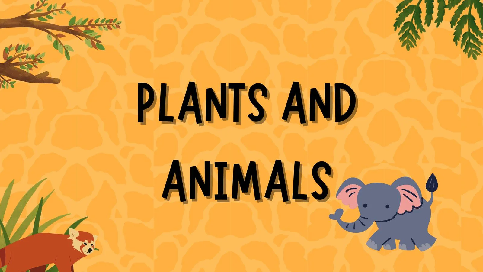 Plant and Animal Adaptations Flashcard 4th Grade Flashcard | Quizizz