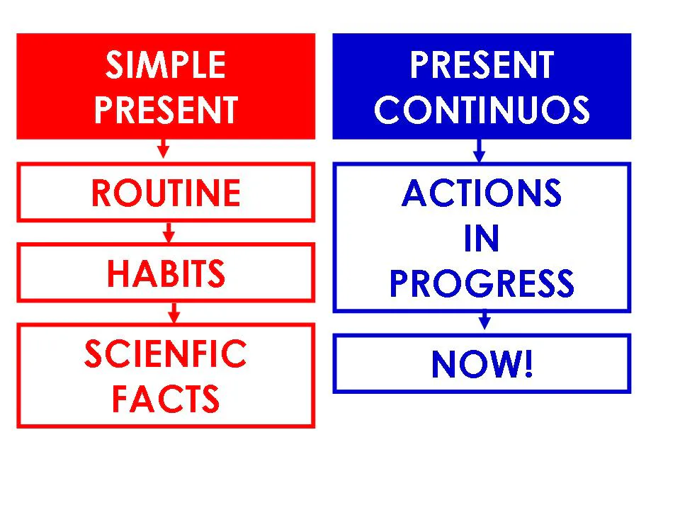 Present Simple and Present Continuous Quiz