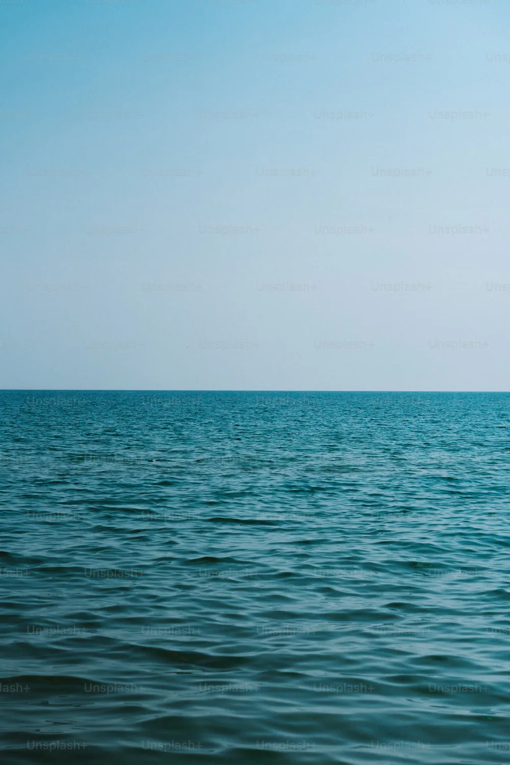 Ocean Topography & Composition Quiz