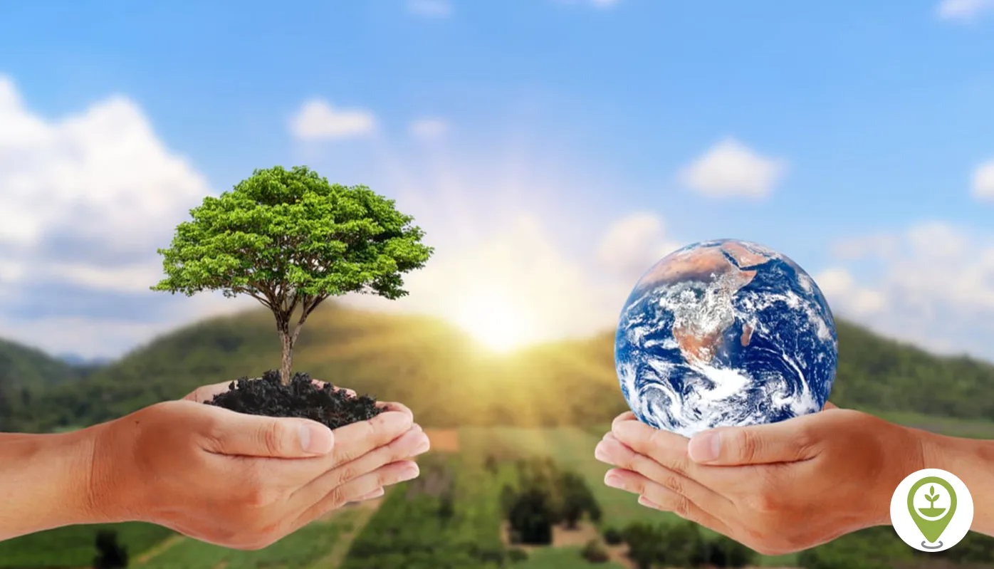 Natural Resources and Conservation 5th Grade Flashcard | Quizizz