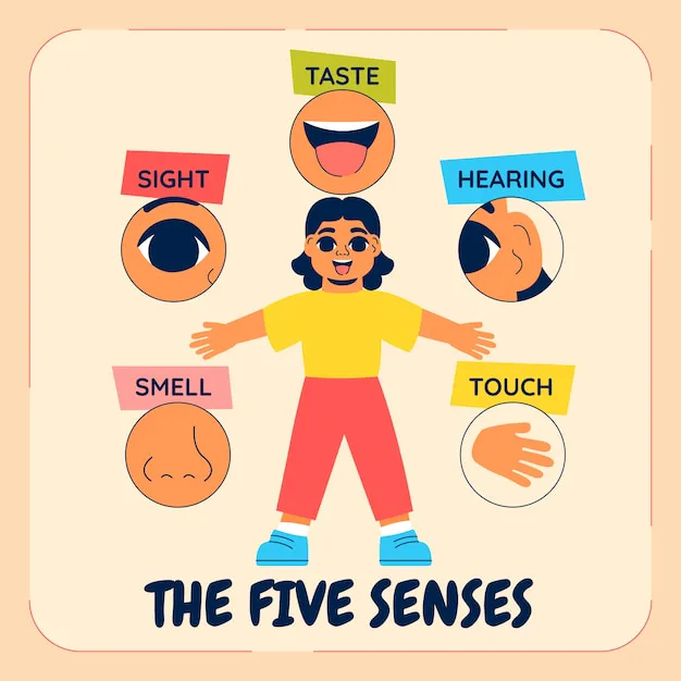 Exploring Our Five Senses KG Quiz | Quizizz