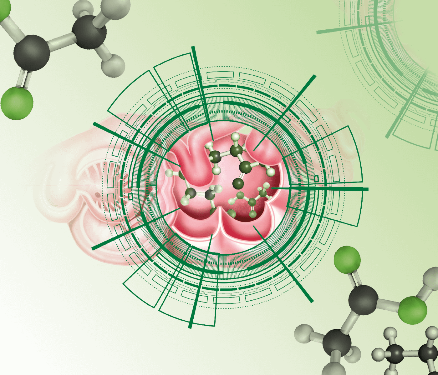 12th Grade Unit Test ; Metabolism Quiz