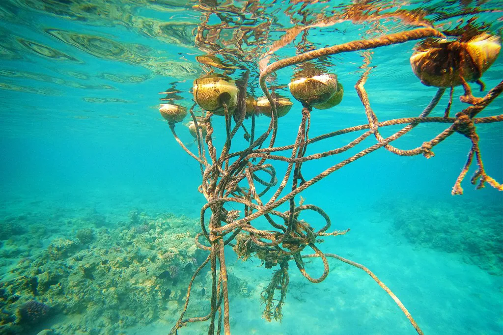 Deep Sea Danger Vocabulary Quiz Quiz