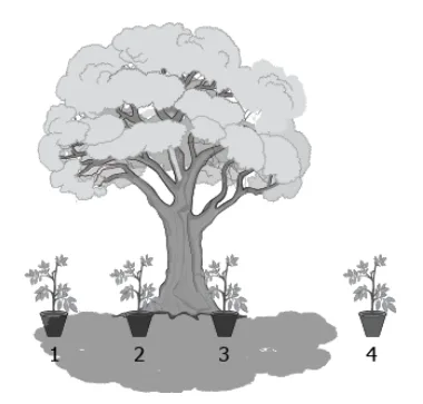 Plant and Animal Adaptations Quiz