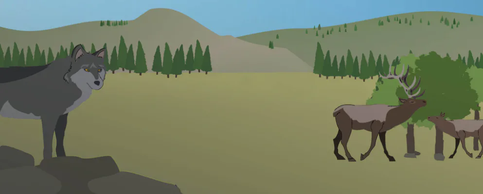 Inheritance and Traits Chapter 3 3rd Grade Flashcard | Wayground ...