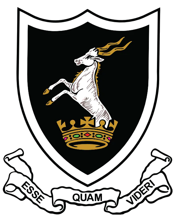 Computers - Grade 5 - (Google Docs icons) | Quizizz