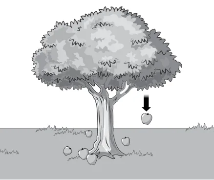 Vocabulary Topic 2, Experience 1 6th Grade Quiz | Quizizz