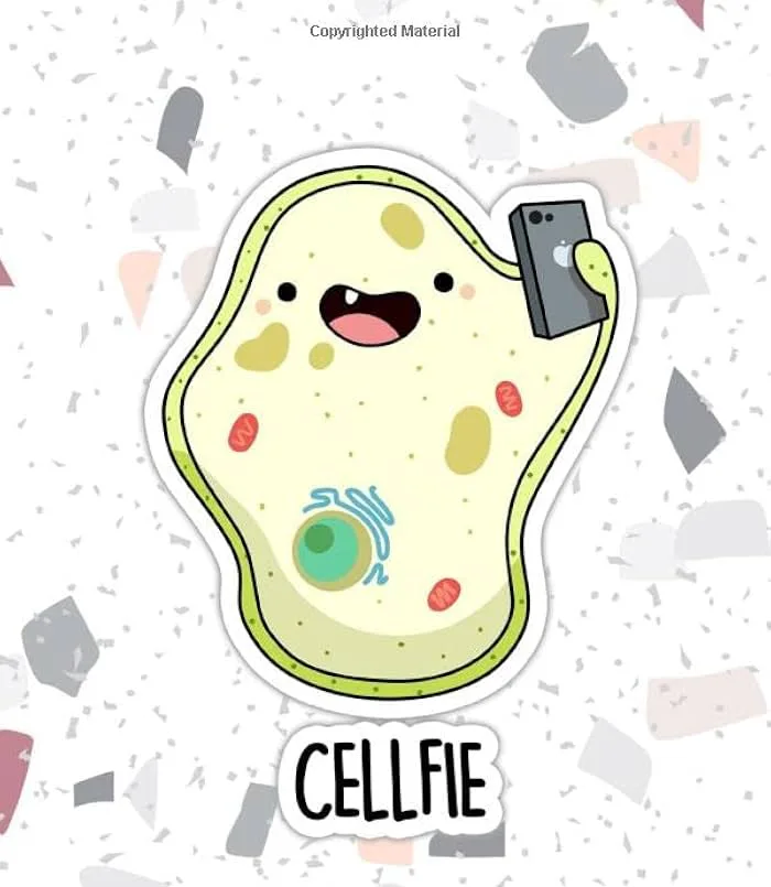 Cell structure 7th Grade Quiz | Wayground (formerly Quizizz)