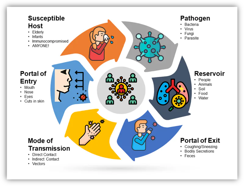 Understanding the Chain of Infection 10th Grade Flashcard | Quizizz