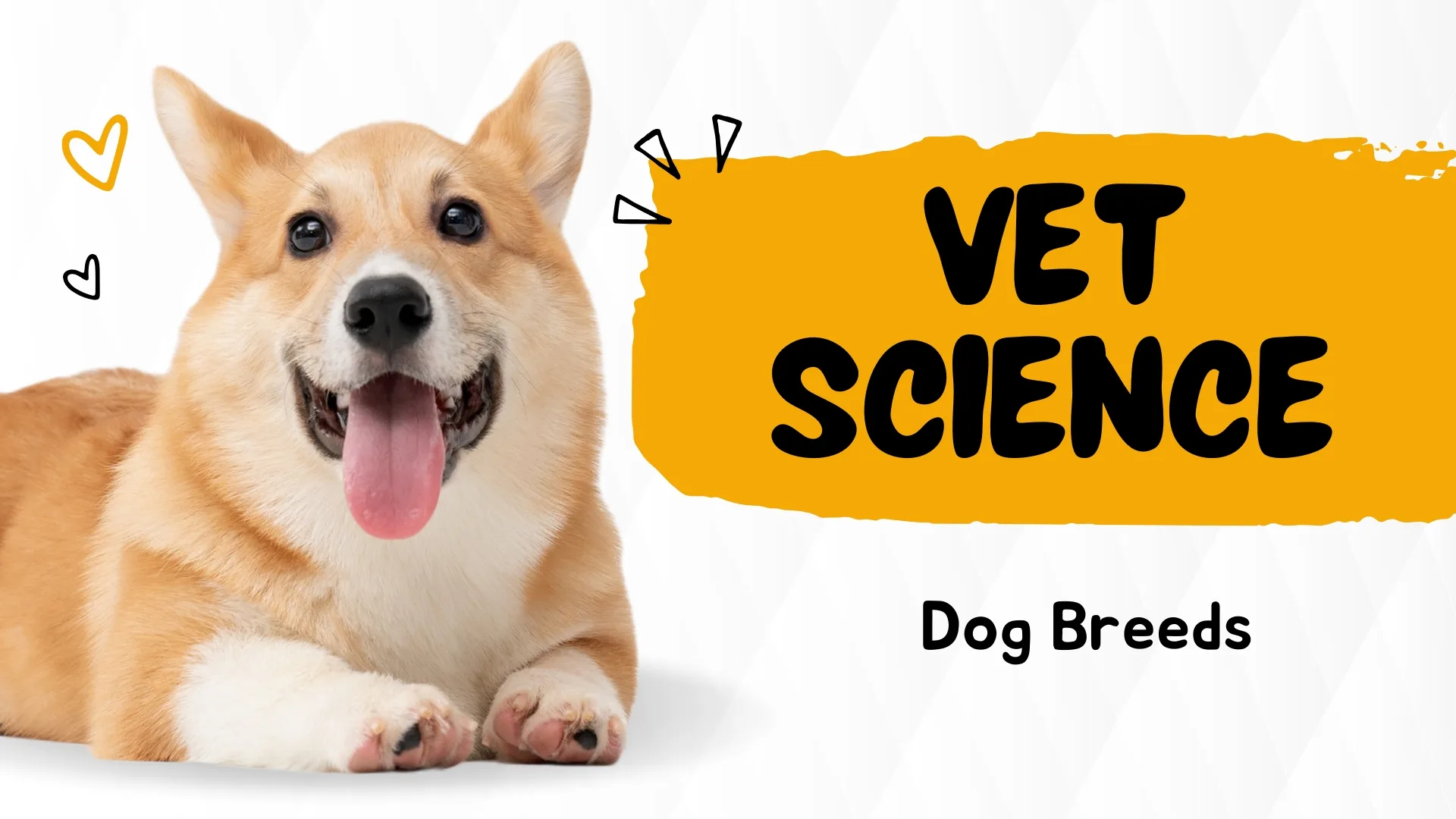 Vet Science Dog Breeds Quiz