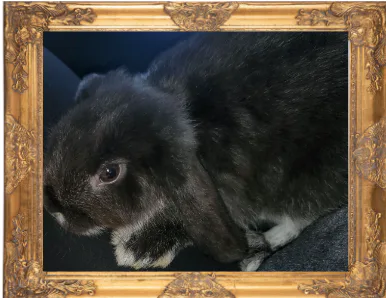 Atmosphere, Air Pressure, and Wind Test #2 6th Grade 6th Grade Quiz ...