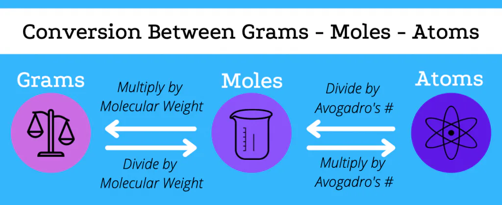 Moles Mass and Avogadro's Number 10th Grade Quiz | Quizizz