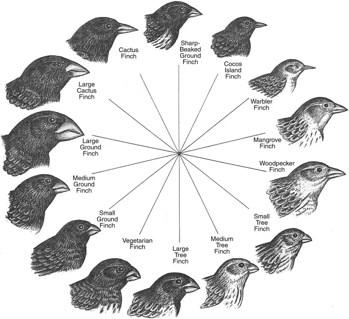 11.1 Genetic Variations Within Populations 10th Grade Quiz | Wayground