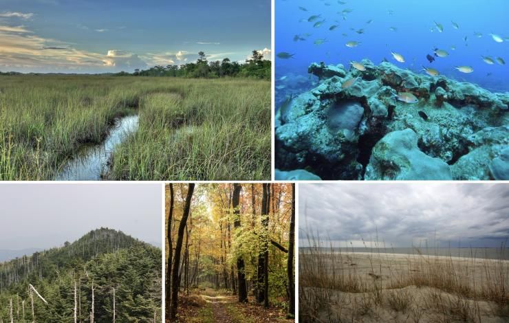 Ecosystems Vocabulary 5th Grade Quiz | Quizizz