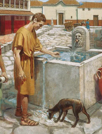 Dog of Pompeii Vocabulary 6th Grade Quiz | Quizizz