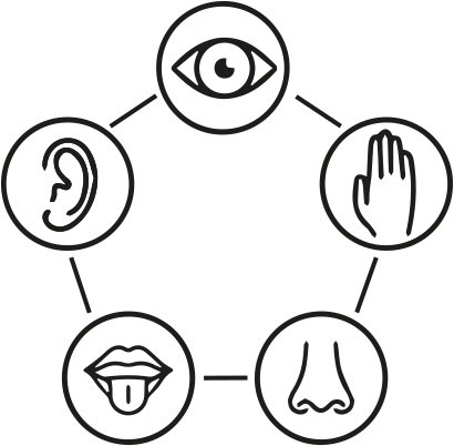 vocabulary nose awards/octopus first 4 3rd Grade Quiz | Wayground